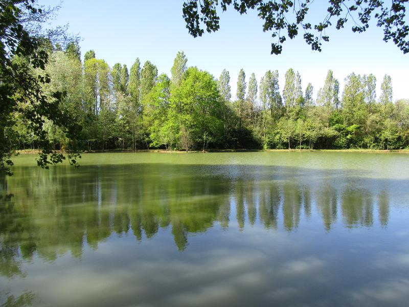 Lacs à vendre en Bretagne - Ille et Vilaine ORGERES Très bel étang de ... Lacs à vendre en Bretagne - Ille et Vilaine ORGERES Très bel étang de ...